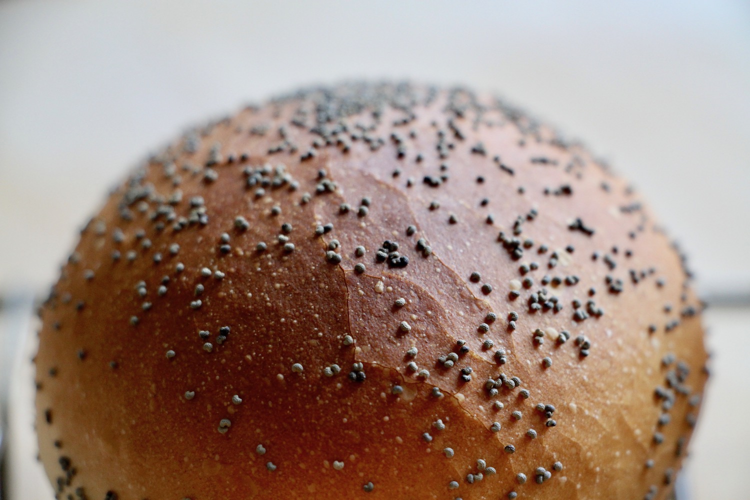 Rundstykker - sådan bager du dem lige så godt som bagerens! - Bagvrk.dk